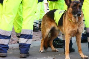 10 Eerie Facts about the Unsolved Abduction of Morgan Nick – Dailynews ...