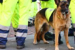 10 Eerie Facts about the Unsolved Abduction of Morgan Nick – Dailynews ...