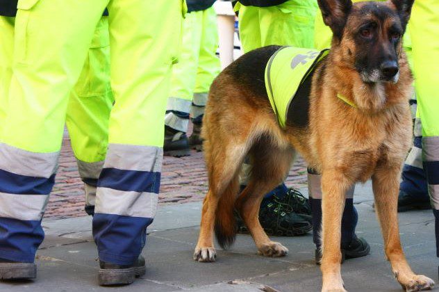 10 Eerie Facts about the Unsolved Abduction of Morgan Nick – Dailynews ...